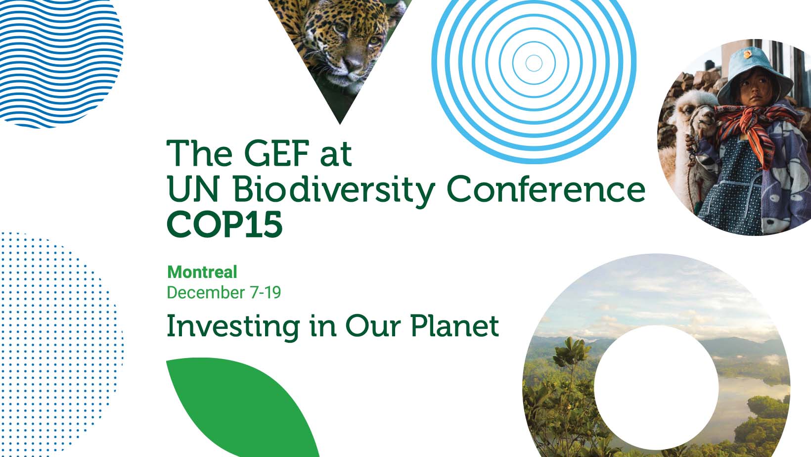 Restoring island resilience: managing invasive species for a resilient ...